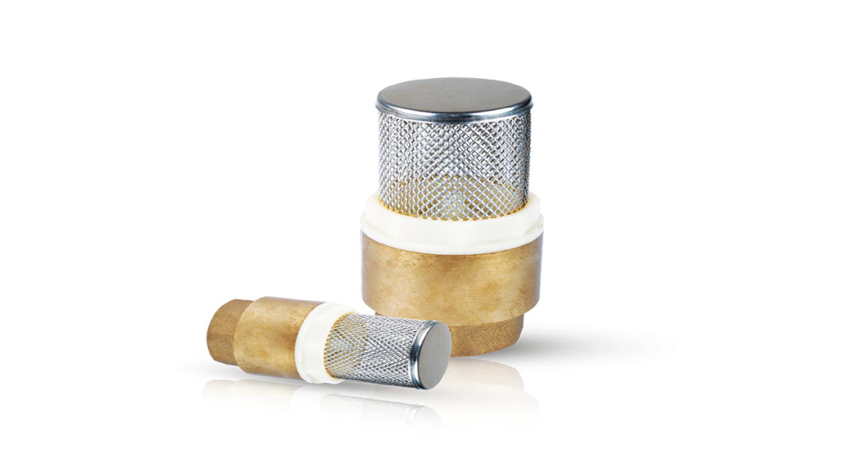 RFL Brass Check Valve | RFL Group