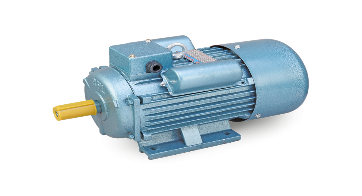 RFL Electric Motor RYC 100 L1- 2 | RFL Group