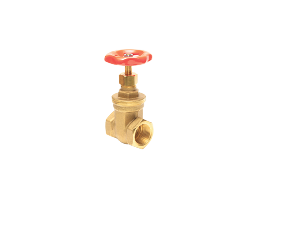 Brass Gate Valve | RFL Group